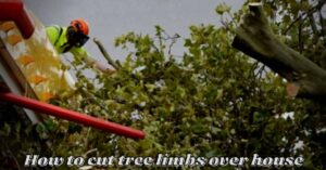 How to Cut Tree Limbs over House (5 Steps Guideline)